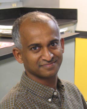 Collaborators - Institute for Bioscience and Biotechnology Research